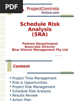 CSRA Best Practices 2024 | PDF | Risk Management | Risk