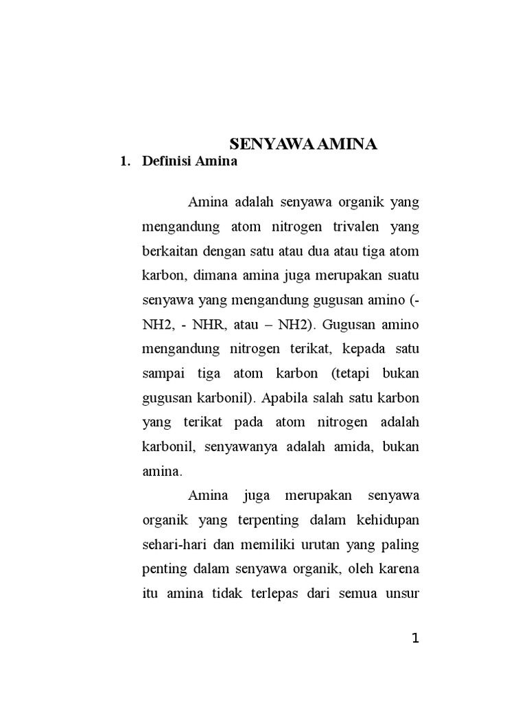 Amina | PDF | Sains & Matematika