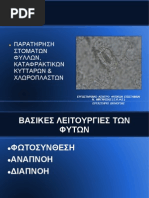| PDF