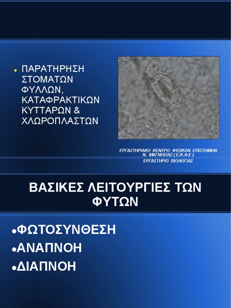ΠΑΡΑΤΗΡΗΣΗ ΣΤΟΜΑΤΩΝ ΦΥΛΛΩΝ, ΚΑΤΑΦΡΑΚΤΙΚΩΝ ΚΥΤΤΑΡΩΝ & ΧΛΩΡΟΠΛΑΣΤΩΝ | PDF