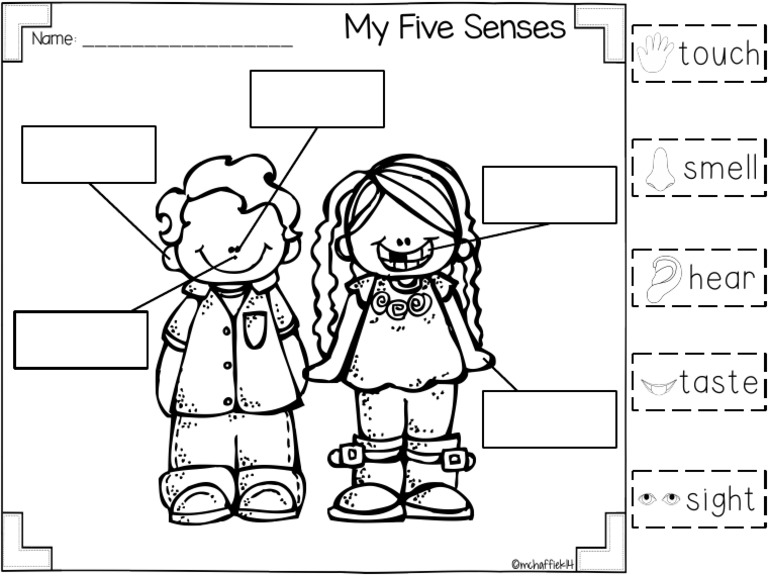 My Five Senses Labeling Worksheet | PDF