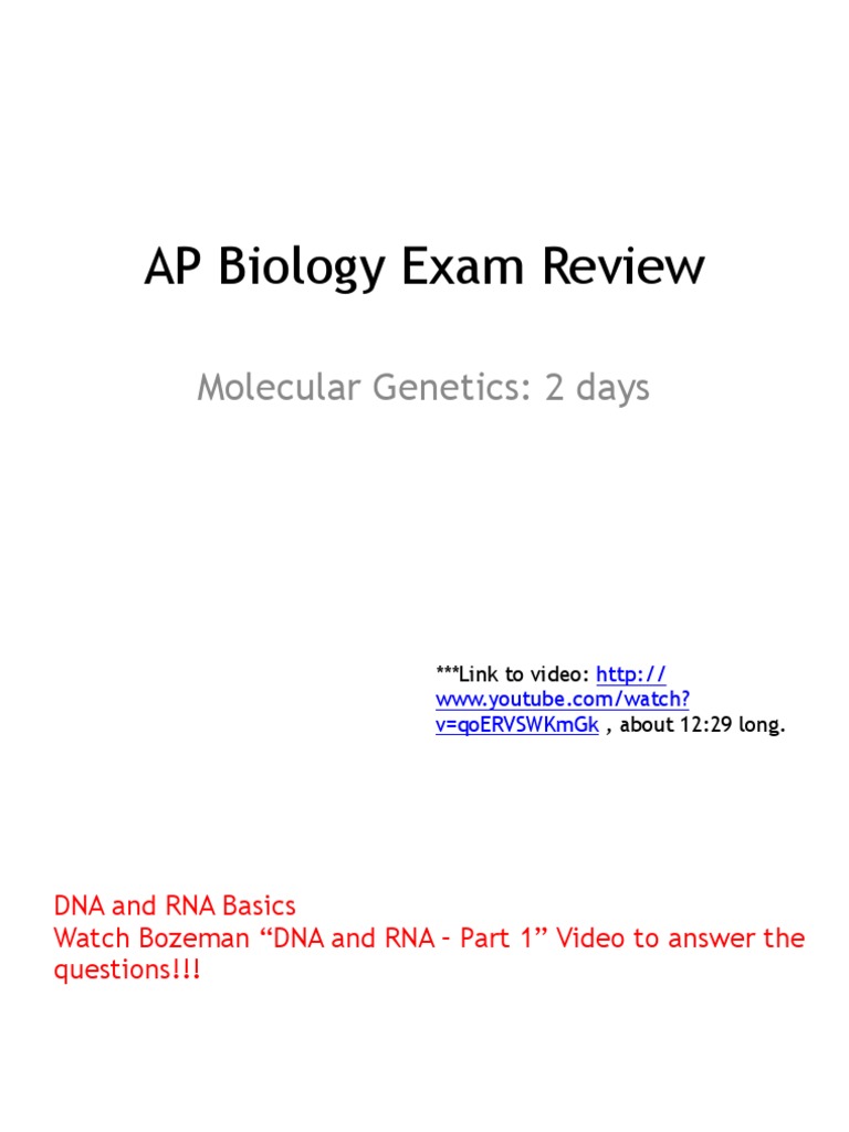 Molecular Genetics Review Notes PDF | PDF | Gene Expression | Gene