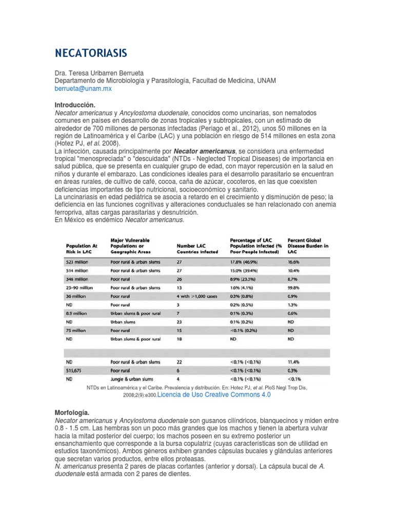 Necatoriasis | PDF | Citocina | Digestión