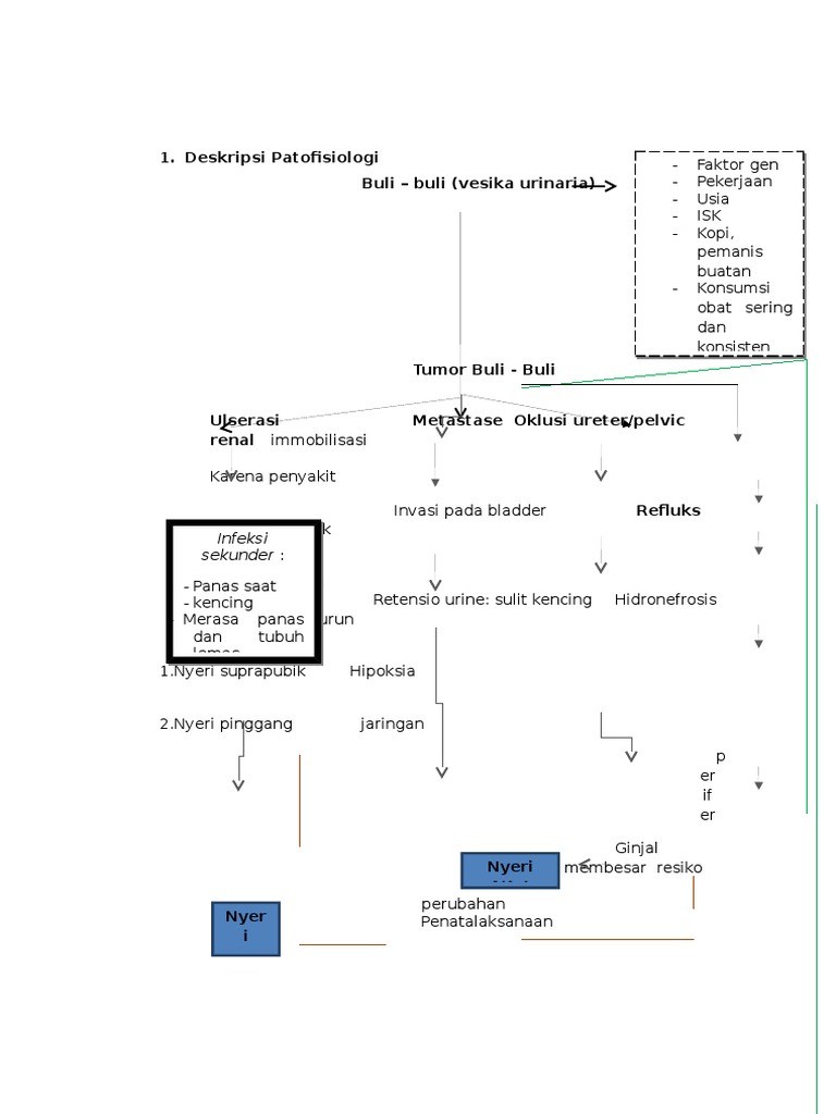 Deskripsi Patofisiologi CA Buli-Buli | PDF