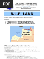 DENR Letterhead | PDF