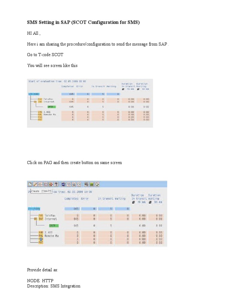 SMS Setting in SAP | PDF | Hypertext Transfer Protocol | Short Message Service