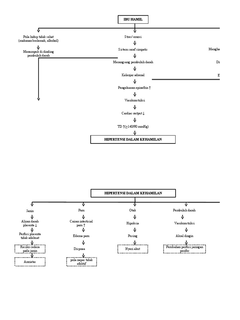 Pathway HIPERTENSI PADA KEHAMILAN