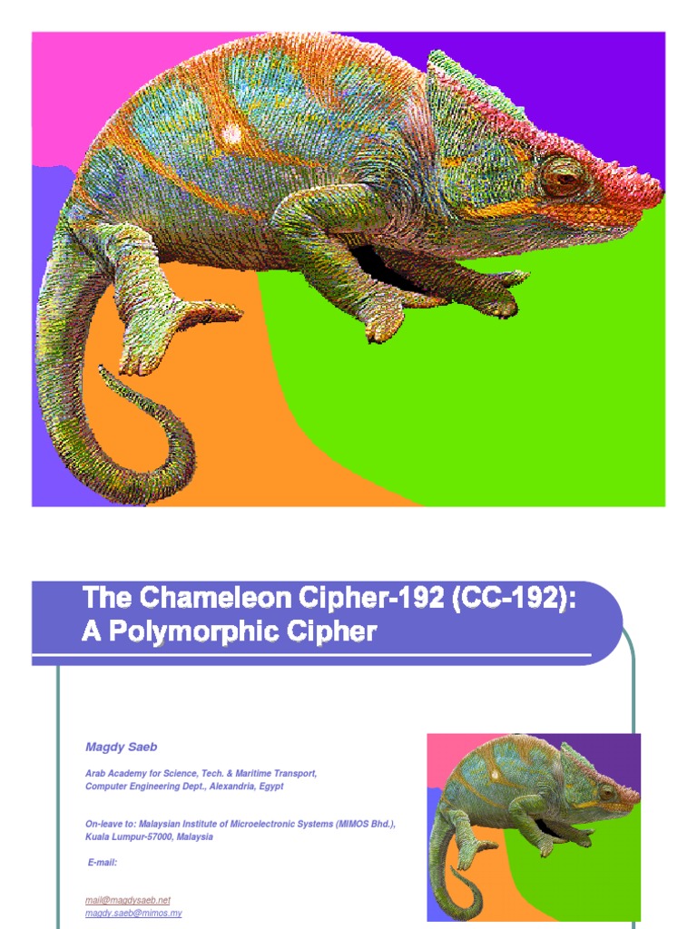 Polymorphic Chameleon Cipher Design | PDF | Encryption | Key (Cryptography)