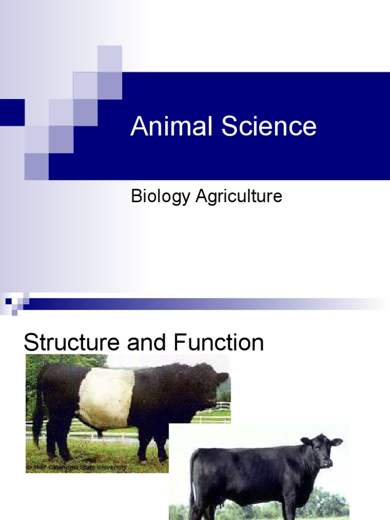 Animal Structure and Function | Reproductive System | Digestion