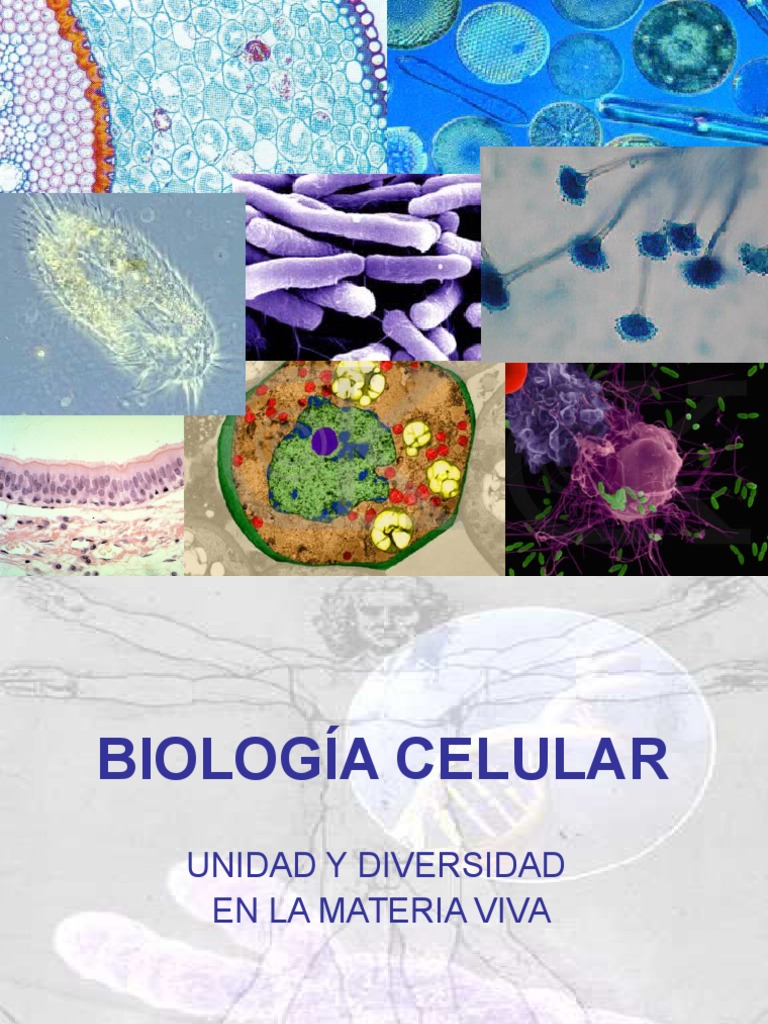 Biologia Celular. Unidad Y Diversidad en La Materia Viva | PDF ...