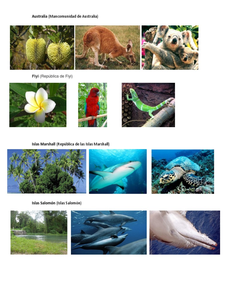 Flora y Fauna de Oceania