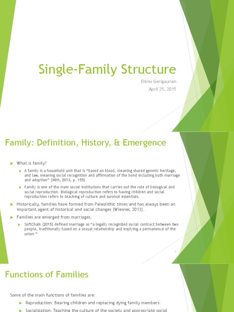Single-Family Structure | PDF | Single Parent | Family
