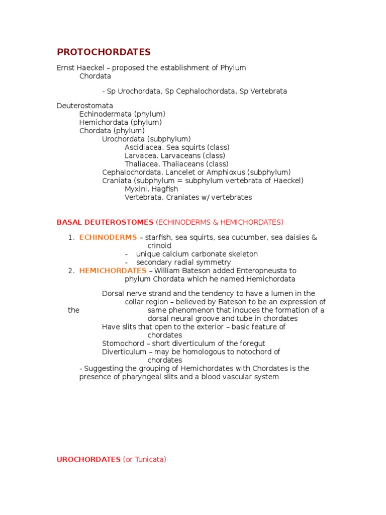 Protochordates Reviewer | Download Free PDF | Zoology | Chordates