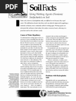 Bio 101 Sample Lab Report | PDF | Active Site | Enzyme