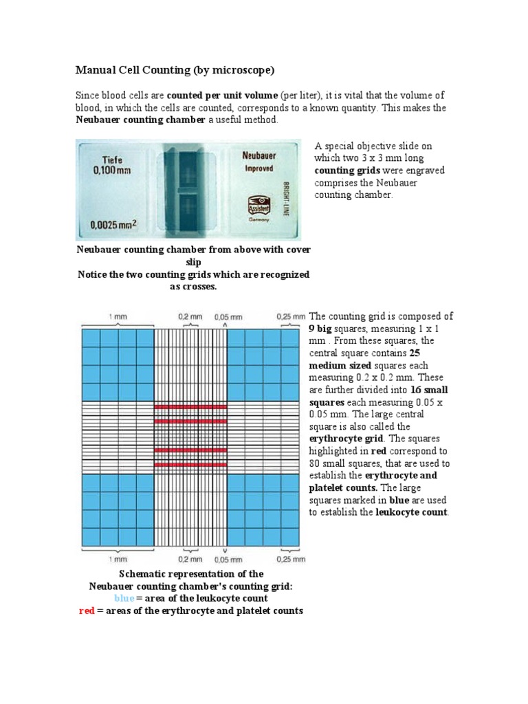 Manual Cell Counting | Download Free PDF | White Blood Cell | Tissue ...