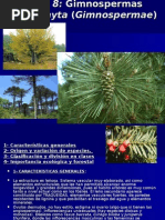 LITOSOLES | PDF | Suelo | Roca (geología)