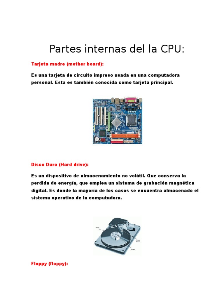 Partes Internas Del La CPU | Disquete | Unidad central de procesamiento