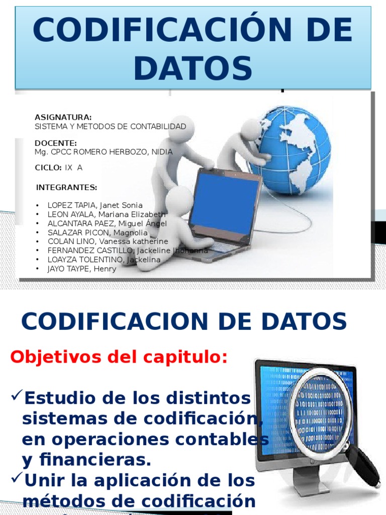 Codificacion de Datos | Contabilidad | Software
