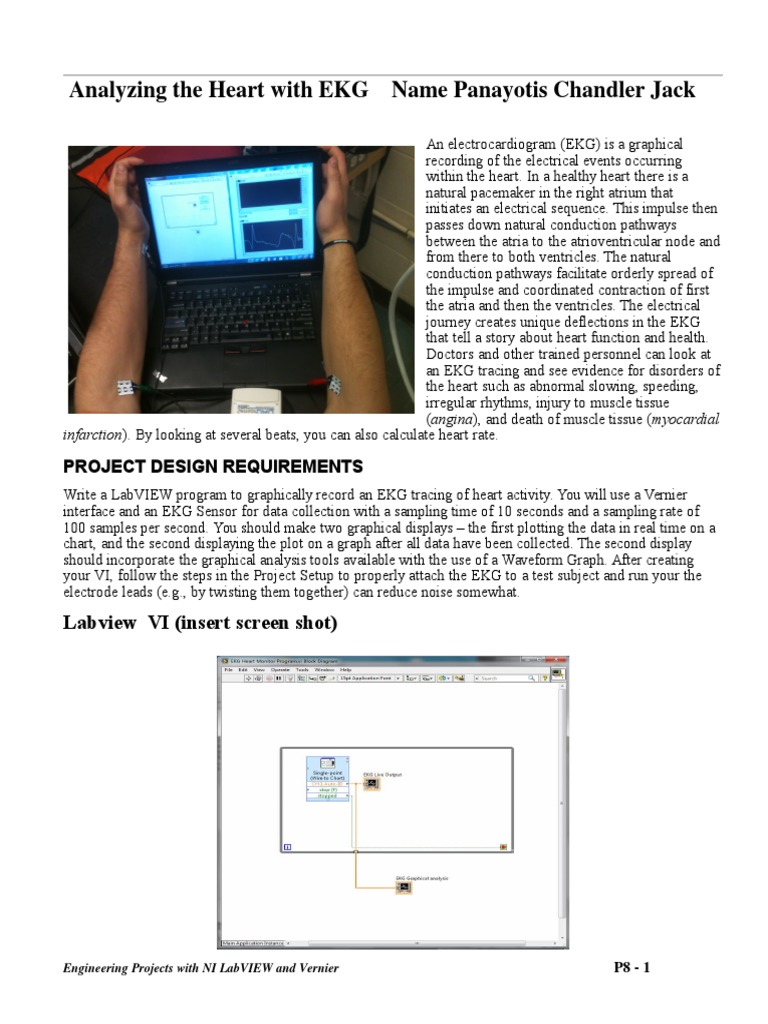 EKG Analysis with Vernier LabVIEW | PDF | Electrocardiography | Heart
