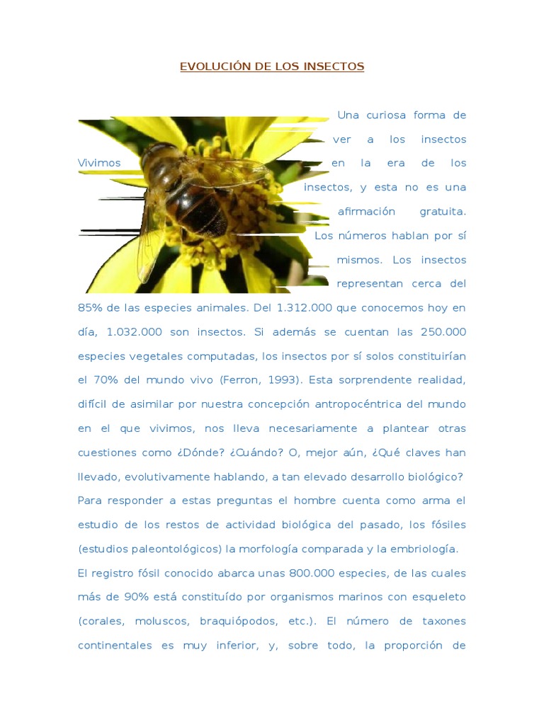 Evolución de Los Insectos | Insectos | Fósil