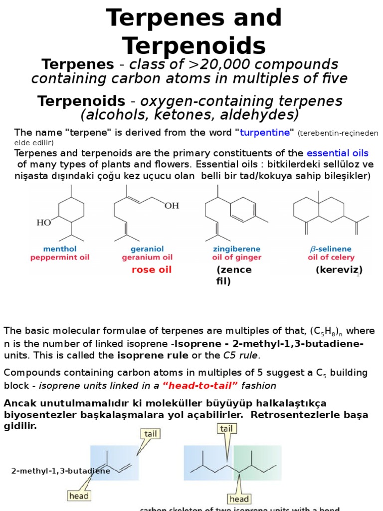 terpenes-and-terpenoids.ppt | Natural Products | Organic Compounds terpenes-and-terpenoids.ppt | Natural Products | Organic Compounds