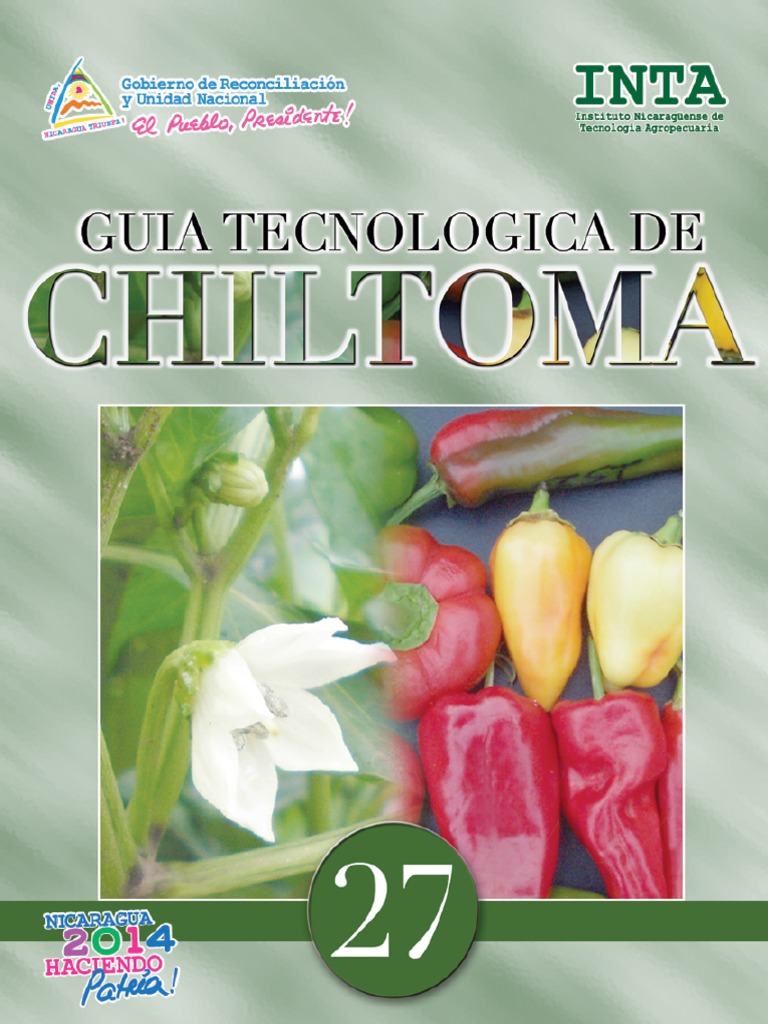 Guía del Cultivo de Chiltoma en Nicaragua | PDF | Siembra | Riego