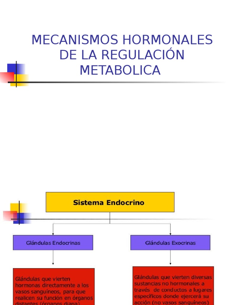 Mecanismos Hormonales de La Regulación Metabólica | PDF | Metabolismo ...
