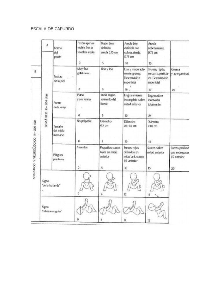 Escala de Capurro | PDF
