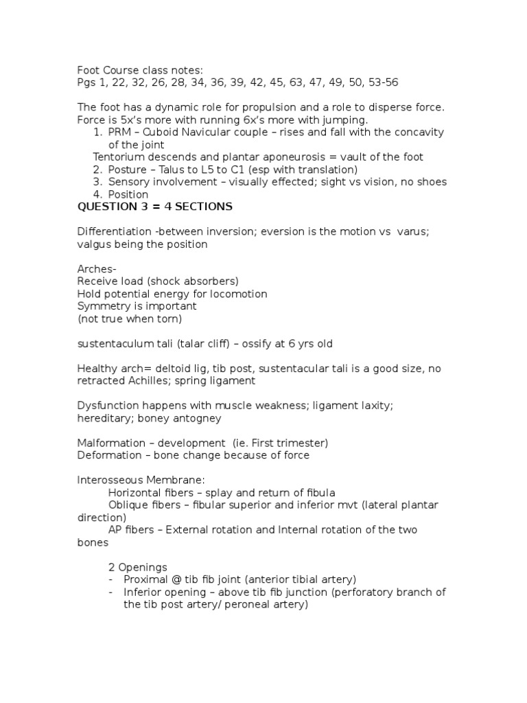 Foot Anatomy and Biomechanics Notes | PDF