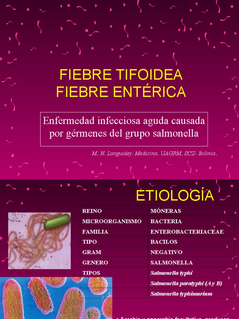 Fiebre Tifoidea | Salmonela | Salud pública