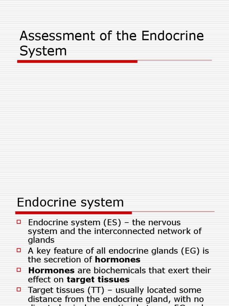 Assessment of the Endocrine System | Endocrine System | Hormone