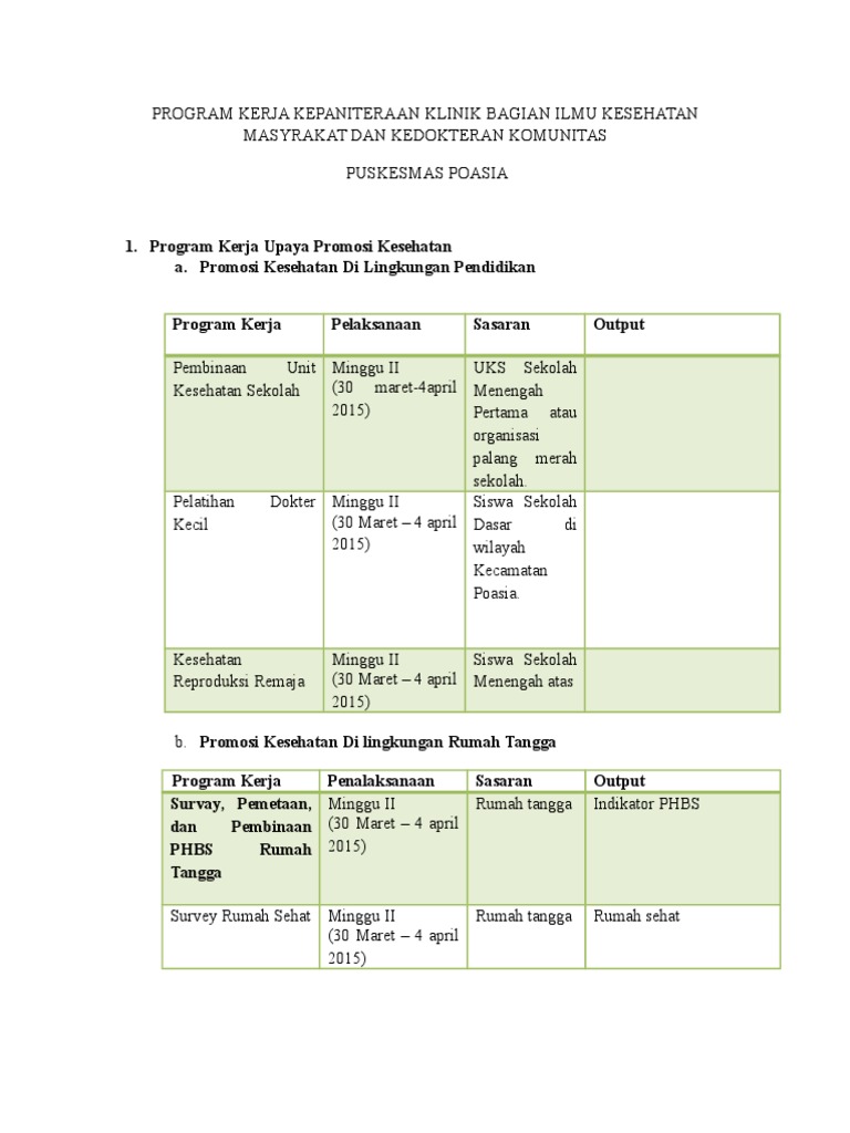 Program Kerja Puskesmas | PDF