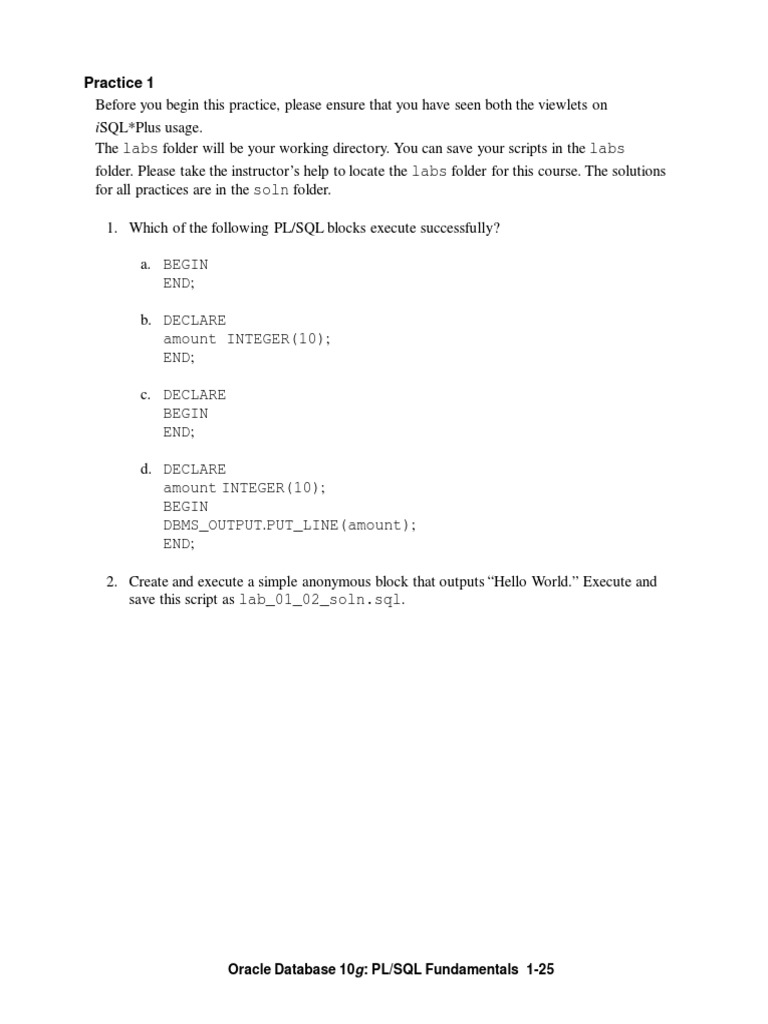 PL/SQL Fundamentals Practice Guide | PDF