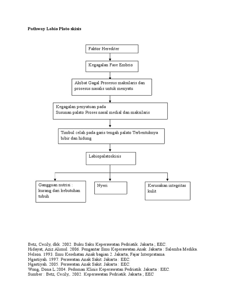 Pathway Labio Plato Skisis | PDF