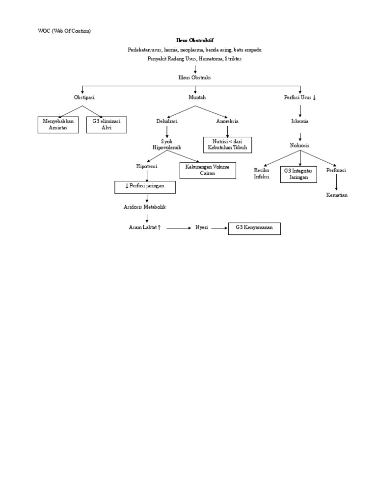 Pathway Ileus Obstruksi | PDF | Sains & Matematika