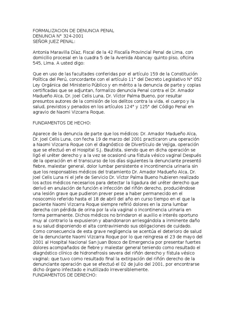 Formalizacion de Denuncia Penal | PDF | Derecho penal | Hospital