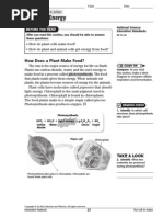 Form 1 Combined Science Notes (A) | PDF | Flowers | Pollination