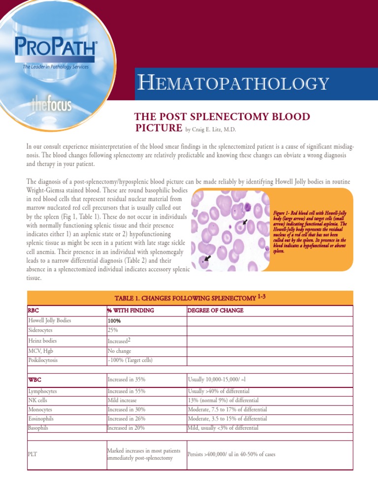 The Post Splenectomy Blood PDF | PDF | Spleen | White Blood Cell