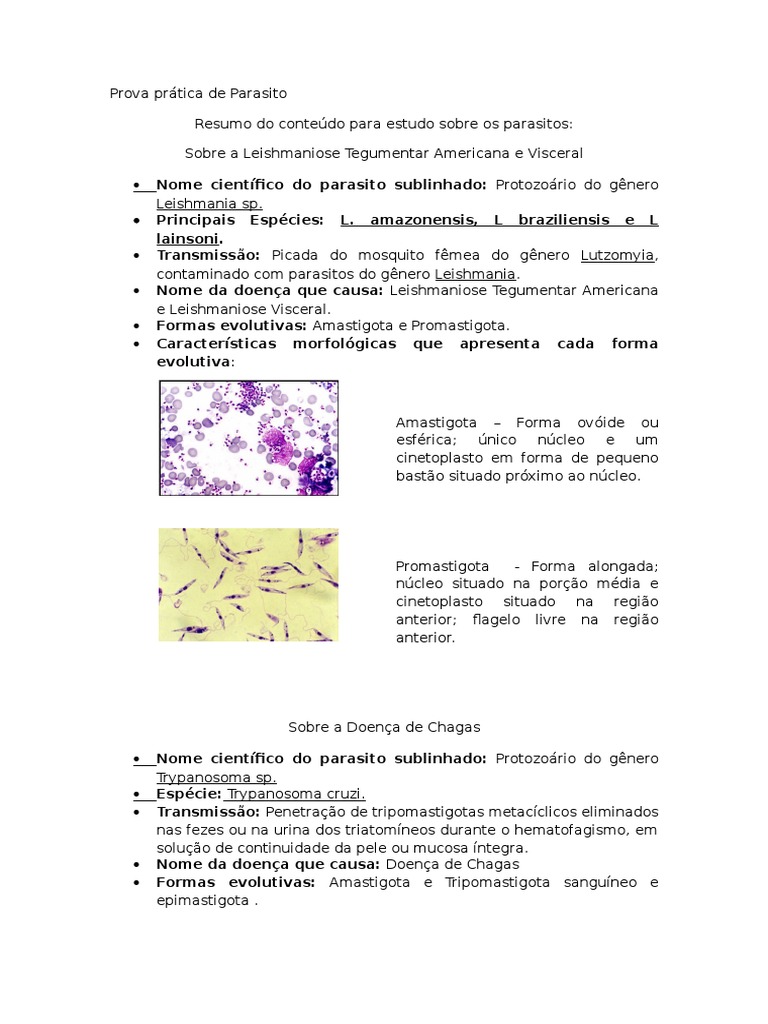 Prova Prática de Parasito Resumo | PDF | Doenças e distúrbios ...