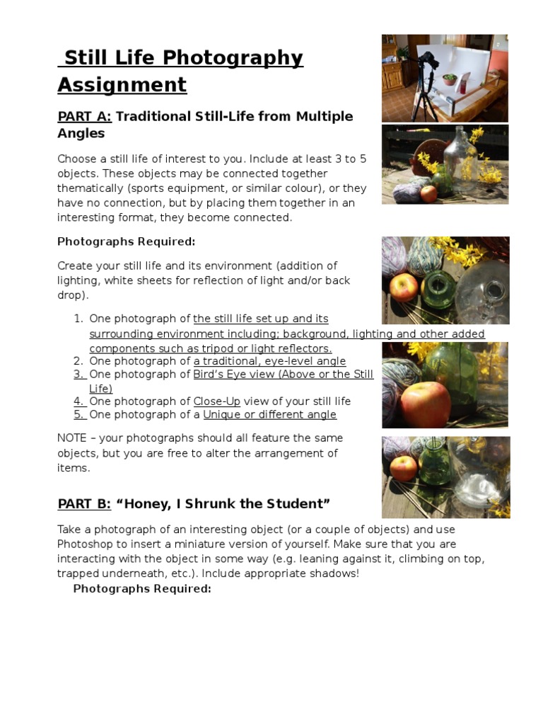 Still Life Photography Assignment | PDF | Photograph | Still Life