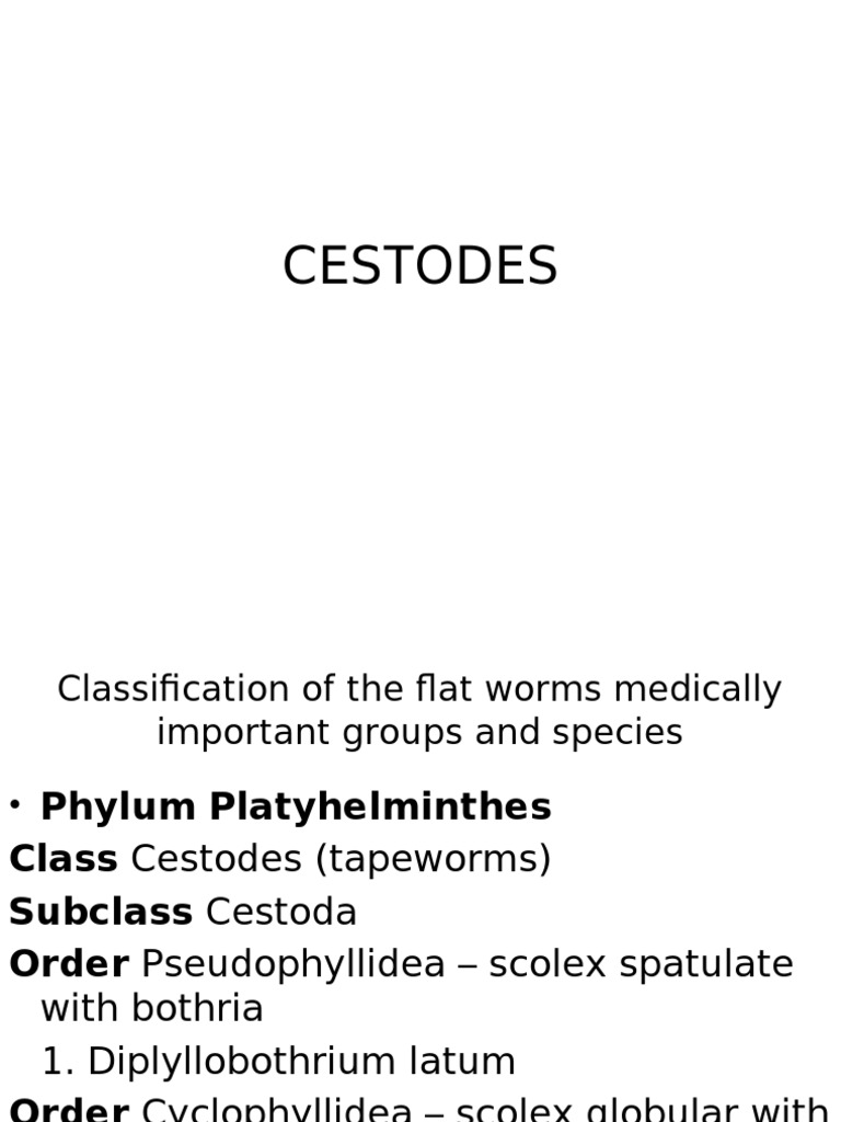 Cestodes | Medical Specialties | Wellness