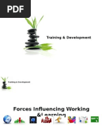 PMS in Shell Final | PDF | Performance Appraisal | Human Resource ...