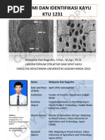 Anatomi Dan Identifikasi Kayu - Pertemuan 1&2 PDF | PDF