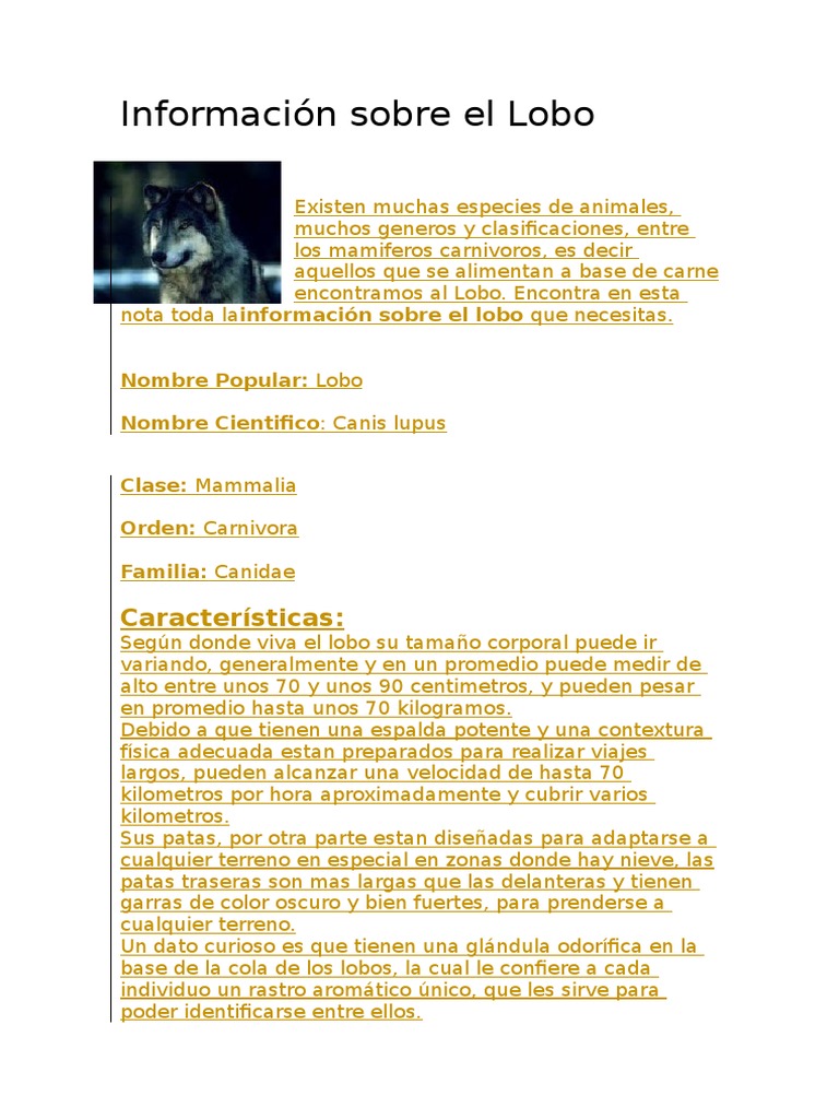 Información Sobre El Lobo | Lobo gris | Mamíferos | Prueba gratuita de ...
