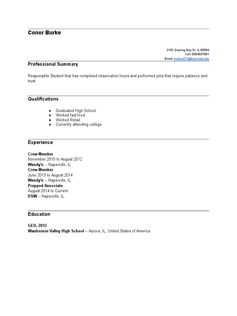 Conor Burke: Professional Summary | PDF