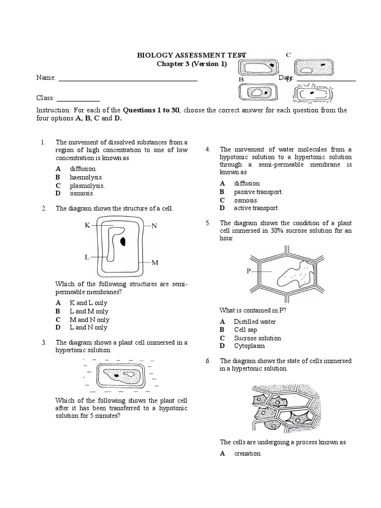 Biology form4 exercises | Osmosis | Molecular Biology