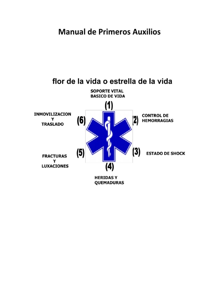 Manual de Primeros Auxilios 2013 | PDF | Quemar | Reanimación cardiopulmonar