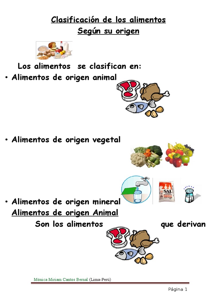 CLASIFICACION DE LOS ALIMENTOS SEGUN SU ORIGEN Archivo Word | PDF