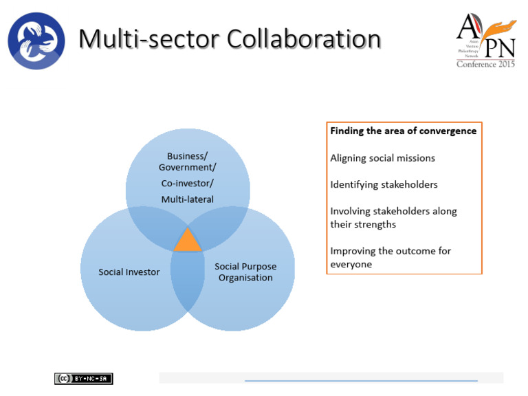 AVPN Capability Development Model - Multi-Sector Collaboration | PDF