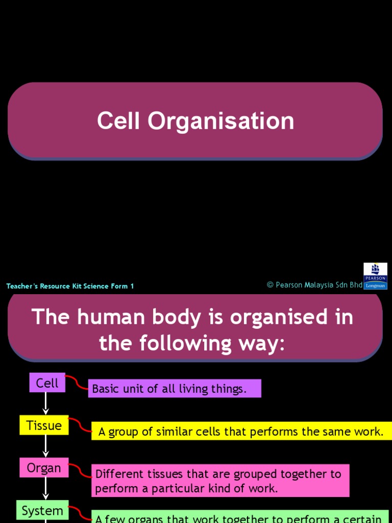 Cell Organisation: Teacher's Resource Kit Science Form 1 | PDF | Human ...